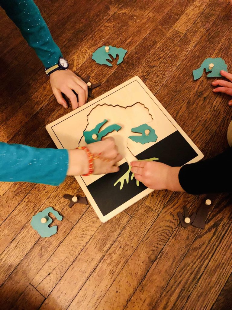 STEM Kit: Trees (Preschool) - DeKalb Public Library