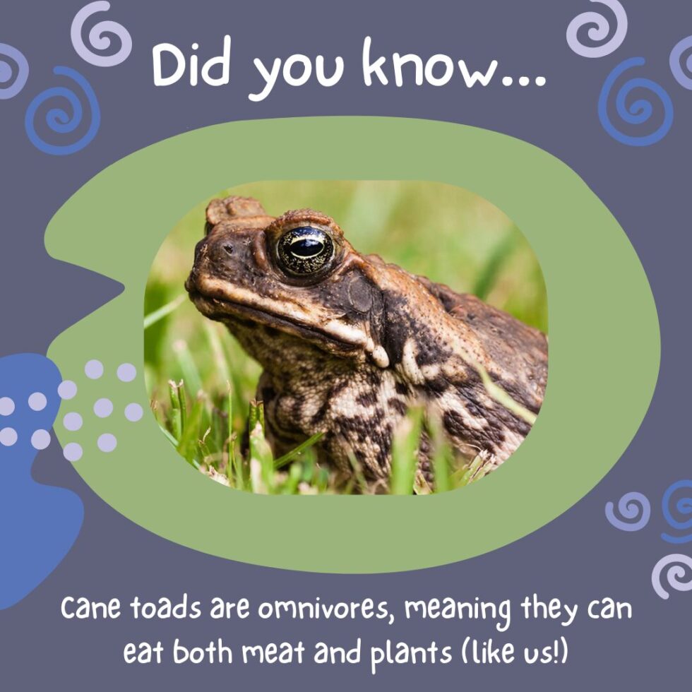 Frogs and toads with Frog and Toad! - DeKalb Public Library