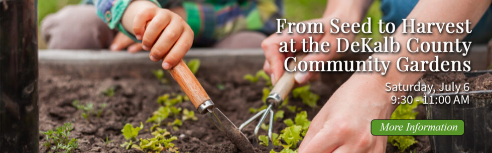 Home - DeKalb Public Library