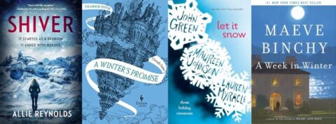 Winter Reads to Cozy Up With: A Book List for Adults - DeKalb Public ...