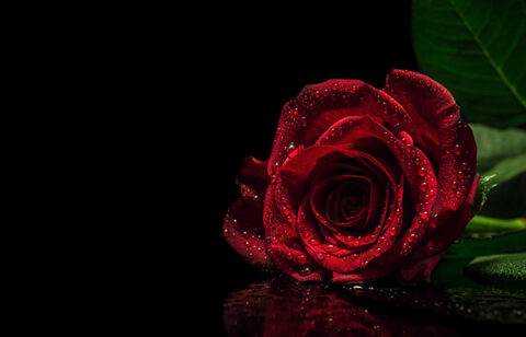 Valentine's Day with Edgar Allan Poe - DeKalb Public Library